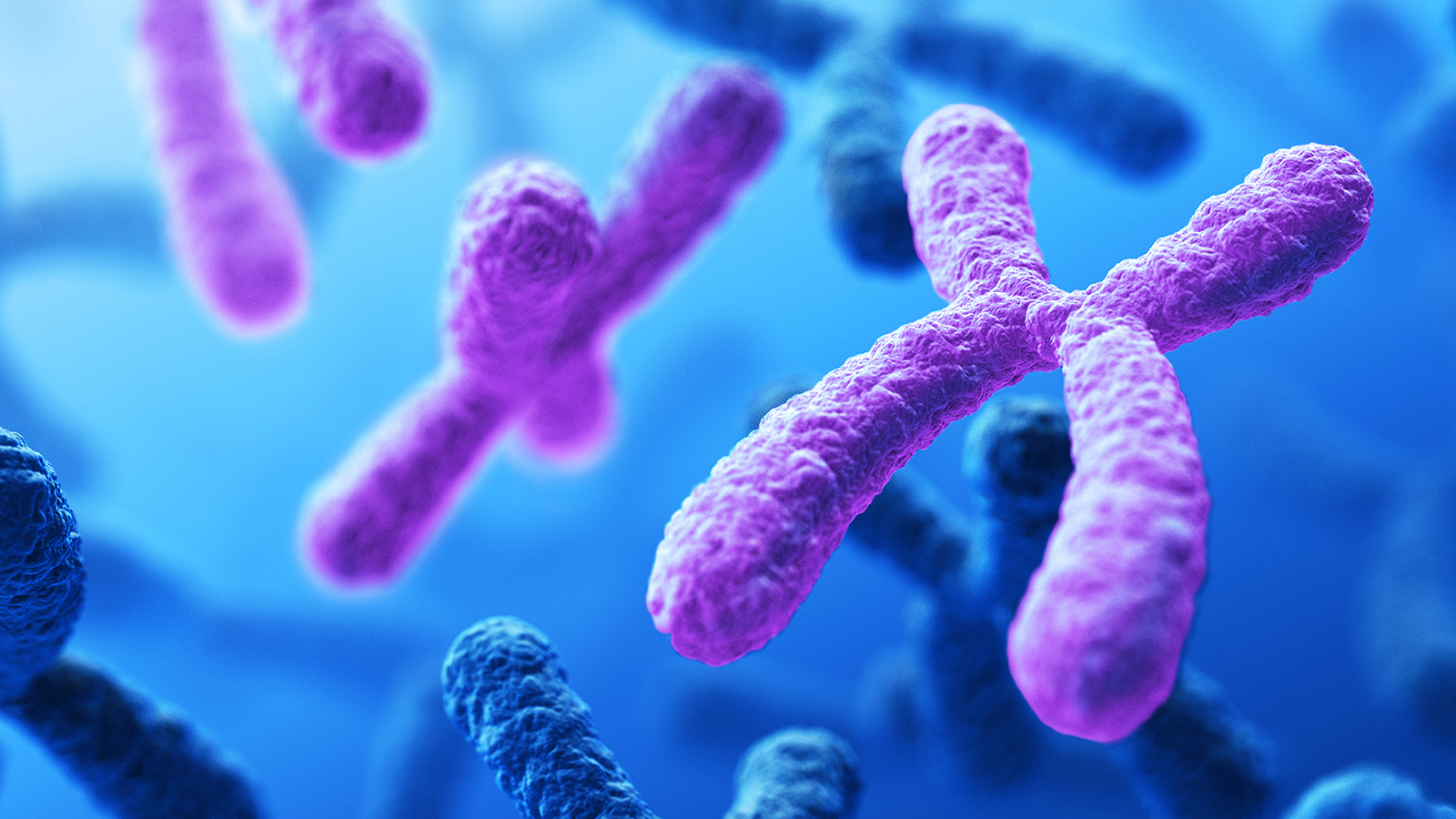 Genetics Through Reebops · Science in the City